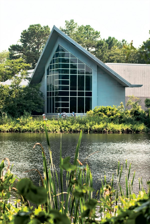 Ward Museum Goes Green! - SBJ