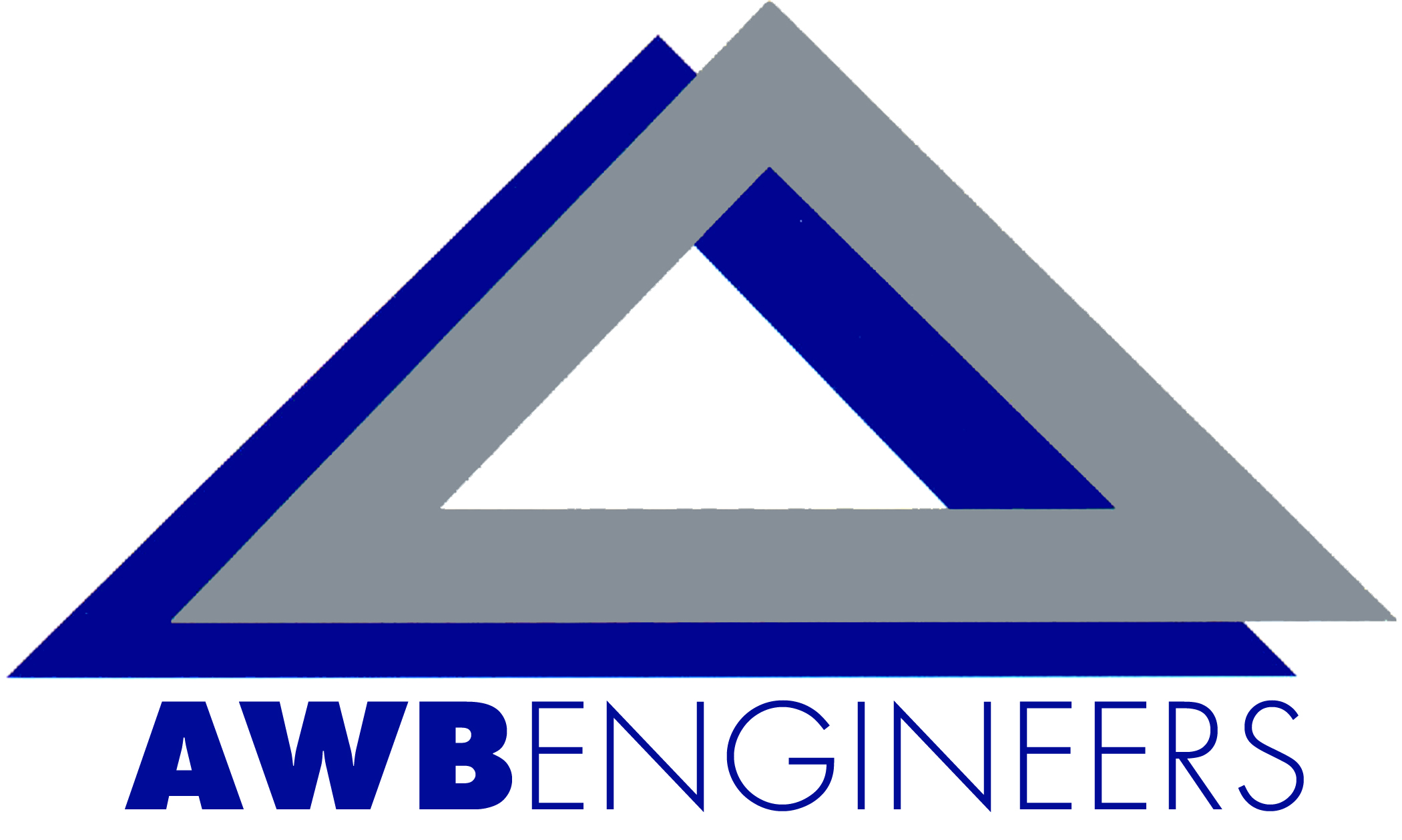 Morgan Named to AWB Board of Directors - SBJ