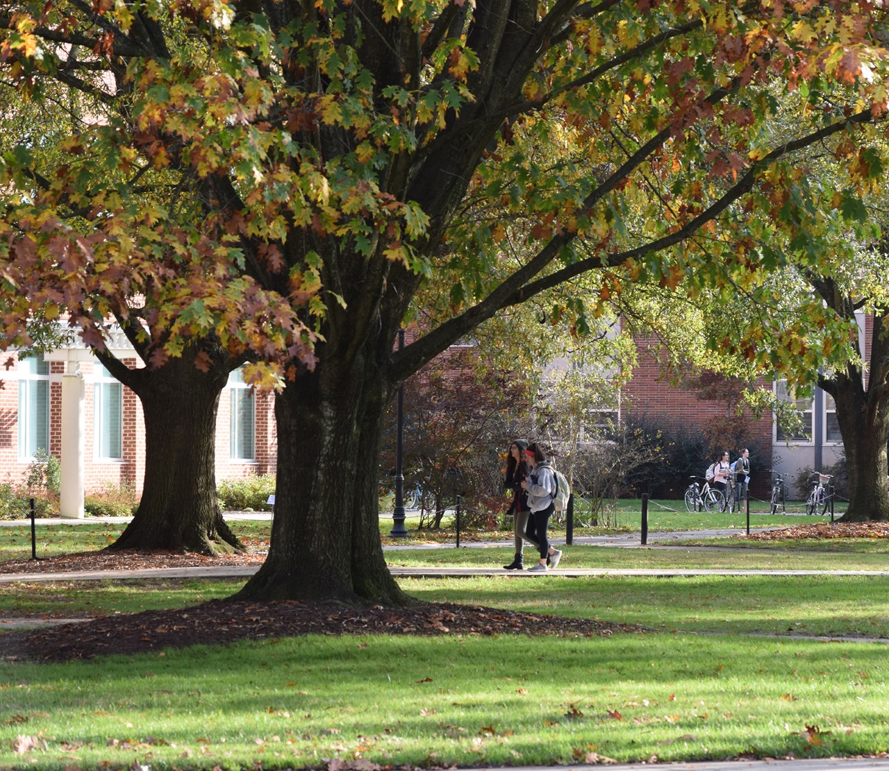 SU Receives Arbor Day Foundation Recognition - SBJ