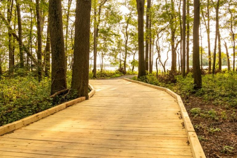 Sandhill Fields Grand Opening - SBJ