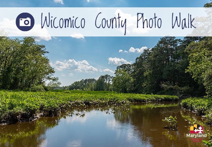Wicomico County Tourism to Host Its First Photo Walk on Oct. 17 - SBJ