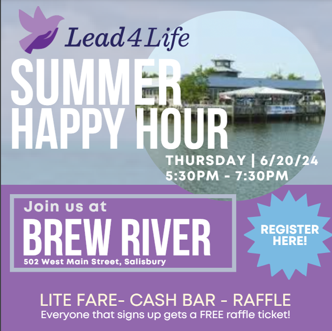 Lead4Life Summer Mingle - SBJ