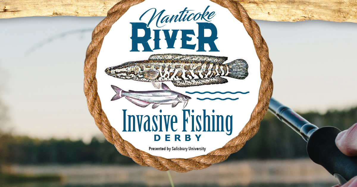 SU's Annual Nanticoke River Invasive Fishing Derby July 20 - SBJ