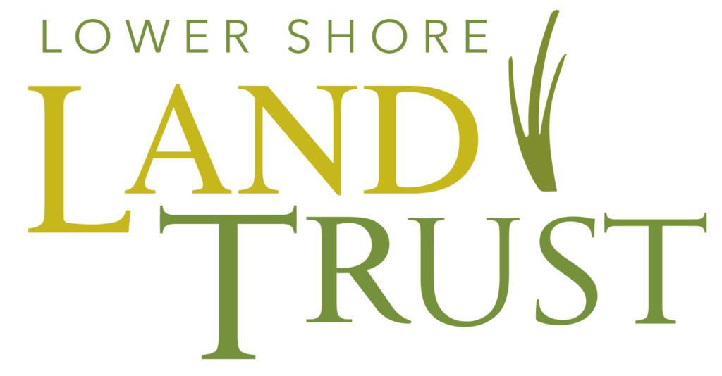Lower Shore Land Trust Announces 6th Annual Pollinator Garden Tour on ...