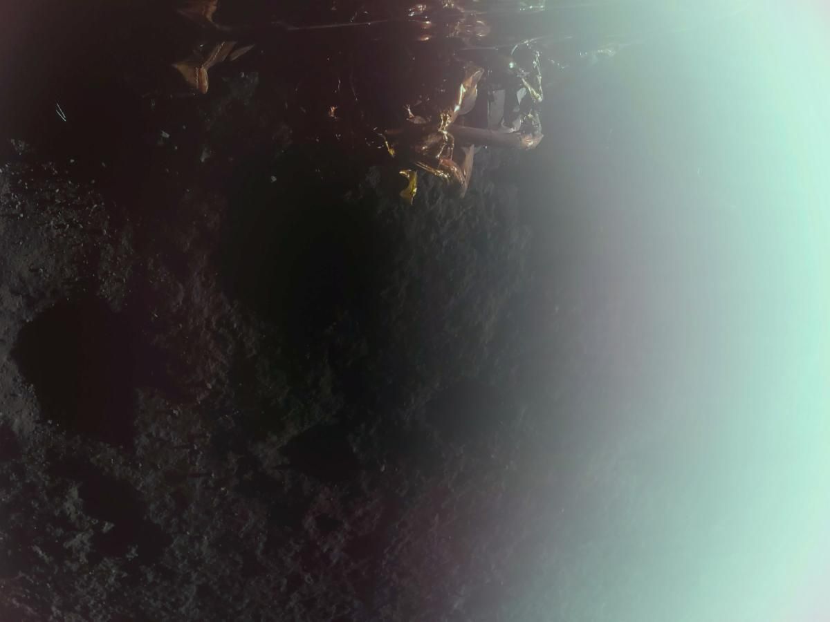 Touchdown! Carrying NASA Science, Firefly’s Blue Ghost Lands on Moon - SBJ