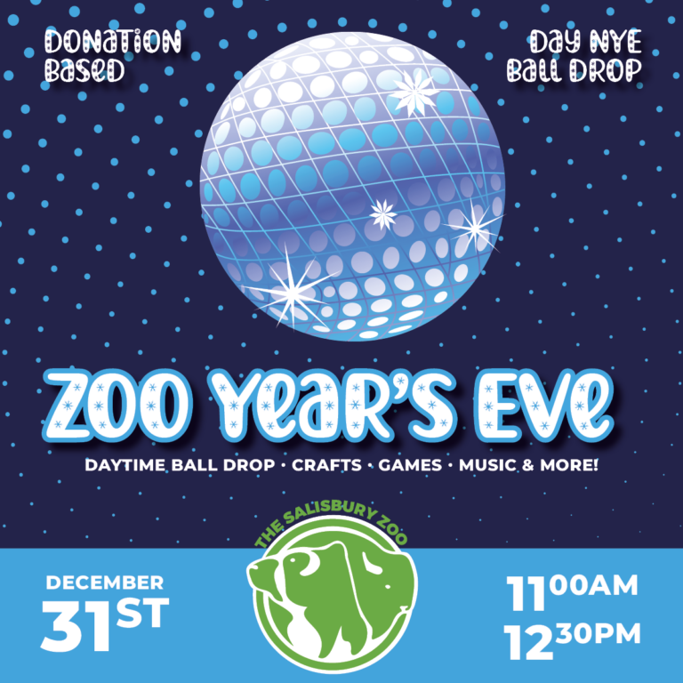 Zoo Year’s Eve: A Family-Friendly Early “Ball Drop” Celebration - SBJ