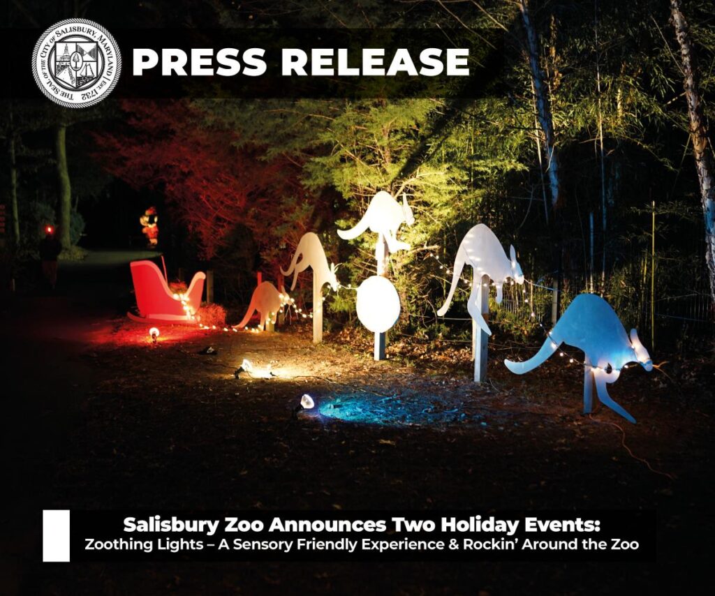 Salisbury Zoo Announces Two Holiday Events: Zoothing Lights – A Sensory ...